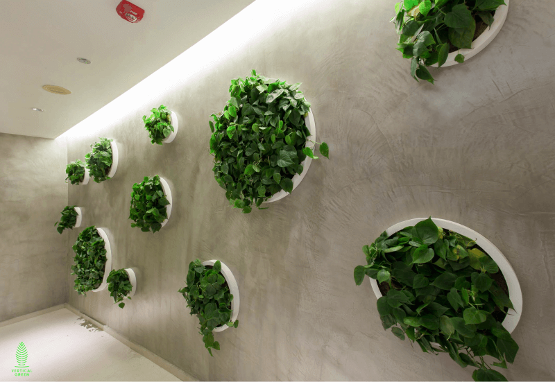 7 Living Wall Ideas for Your Kitchen | Vertical Green